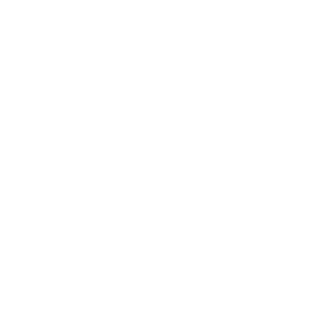 CSEA Branding Guide and Logos - CSEA NY