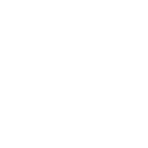 CSEA Branding Guide and Logos - CSEA NY