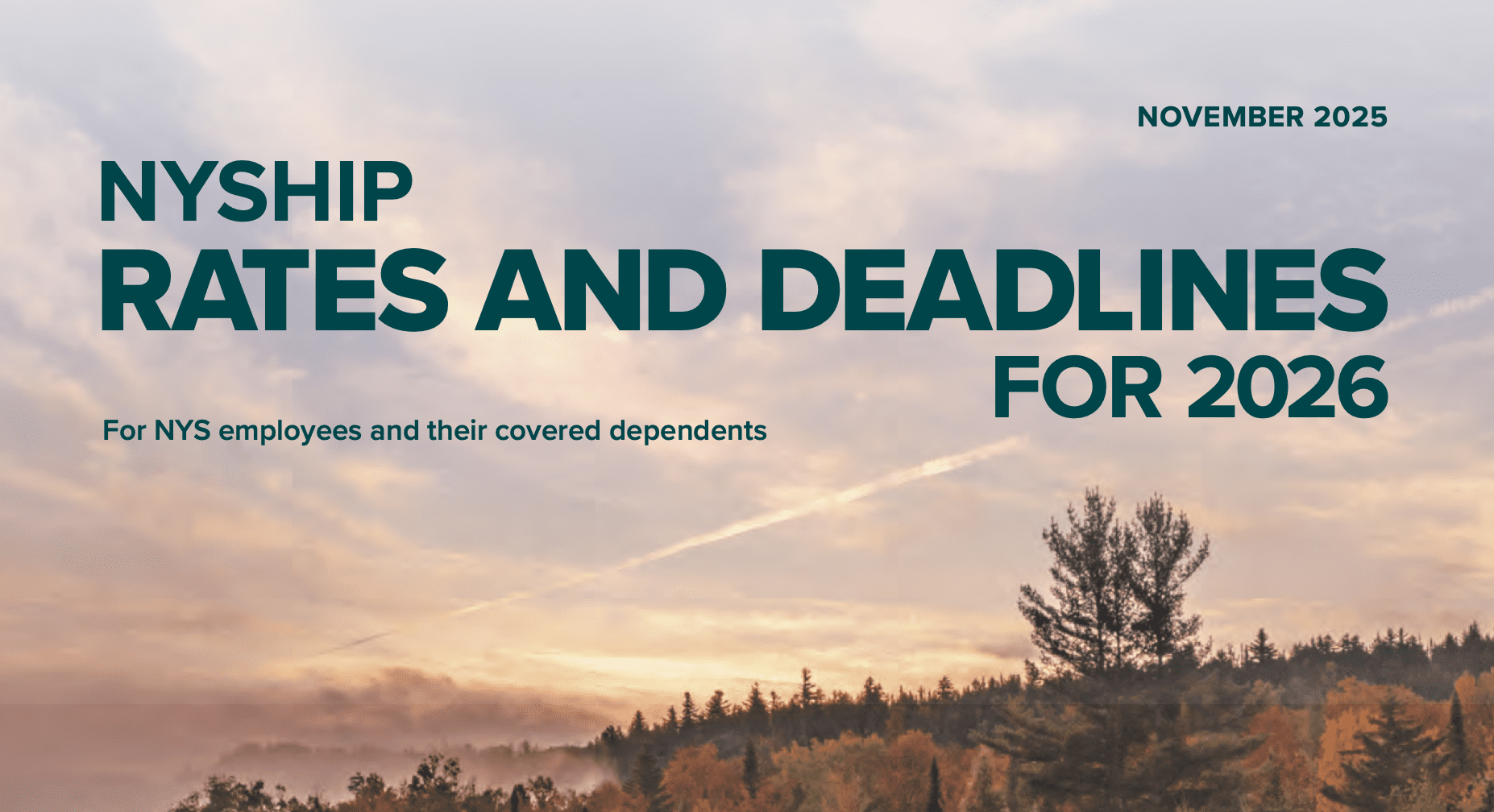 2026 Option Transfer Period: Dec. 1-31, 2025 - CSEA NY